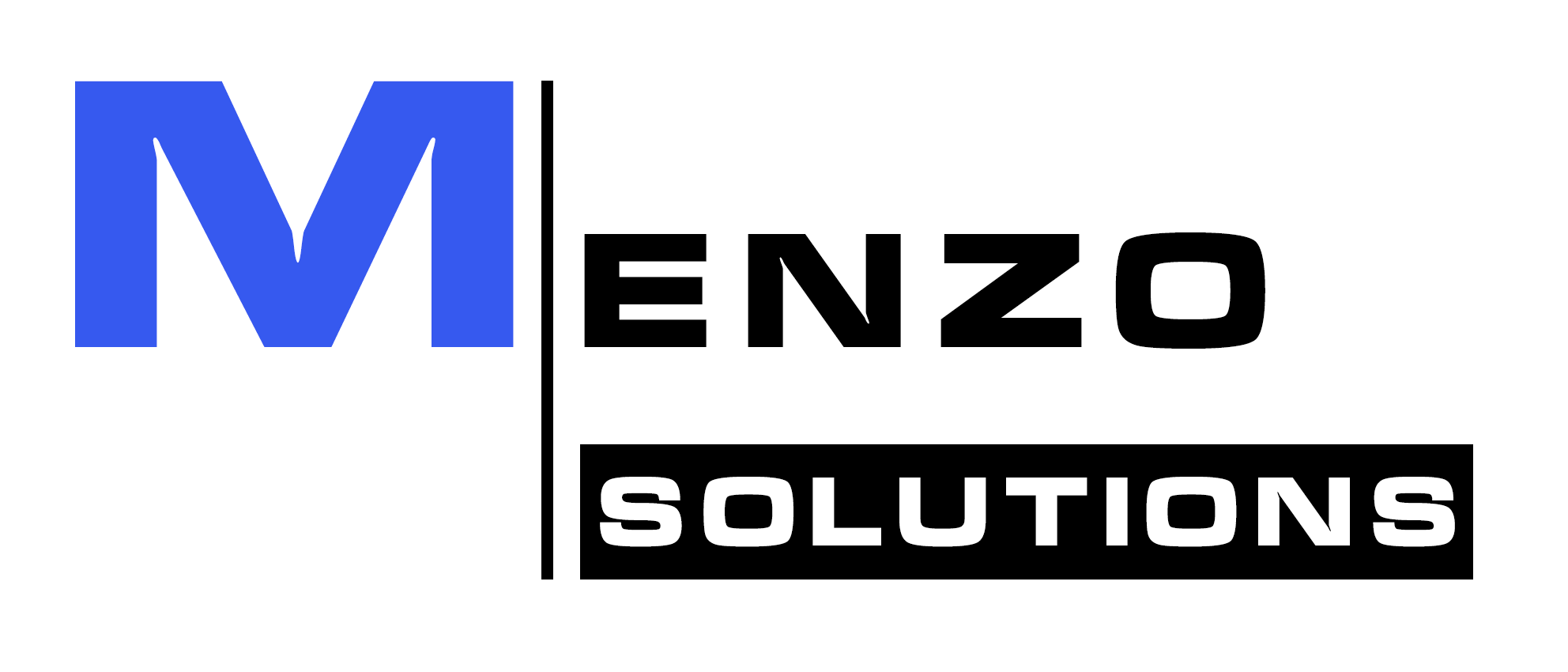 MENZO SOLUTIONS - B2B Tunisia